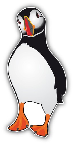 Atlantic Puffin Car Bumper Sticker Decal | eBay