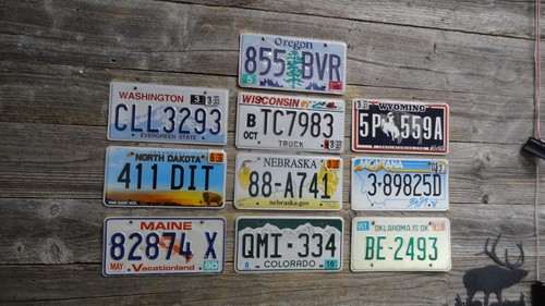 10 License Plates from different states Mixed lot of license plates ...