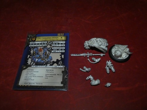 WarMachine: Cygnar: Lord Commander Stryker | eBay
