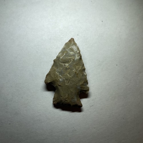 1 1/2 Inch Fort Payne Bird Point Arrowhead Ex Vickory Tennessee | eBay