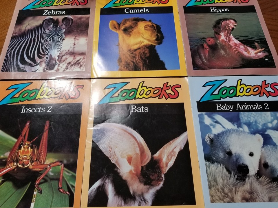zoobooks products for sale | eBay