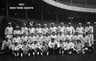 1933 NEW YORK GIANTS NY 8X10 TEAM PHOTO BASEBALL PICTURE MLB WORLD ...