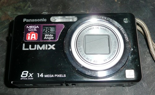 Panasonic Lumix DMC-FH20 Point and Shoot Camera - 8x Optical Zoom ...