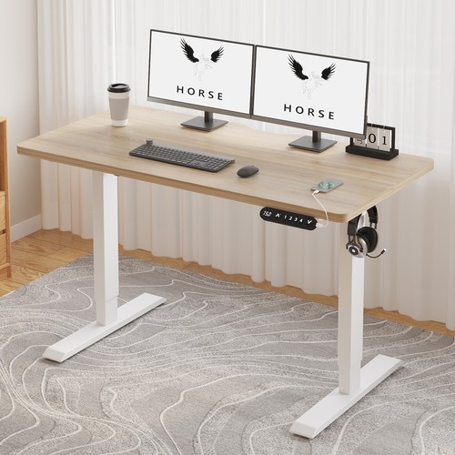 48" Modernchamp Home Office Adjustable Height Electric Standing Desk ...