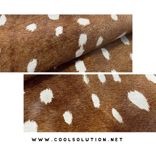 Axis Deer Print | eBay