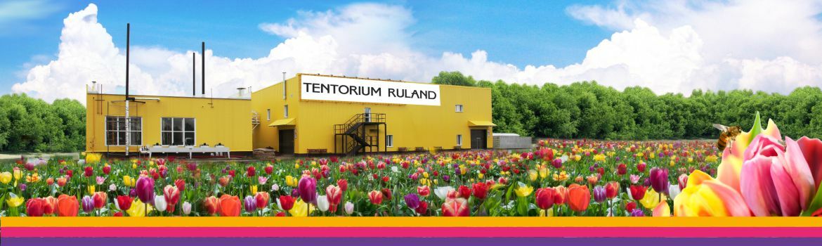 TENTORIUM® | eBay Stores