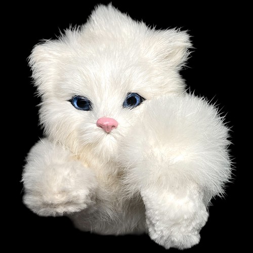 Vintage Rabbit Fur White Cat Kitty Quirky Shelf Decor Animal Taxidermy ...