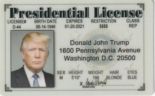 President of the United States Donald Trump fake id card Drivers ...