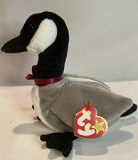 Loosy the Canadian Goose : Beanie Babies : Beaniepedia