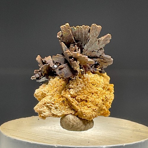 SS Rocks - Limonite "Pseudomorph of Marcasite" (Wright City, Missouri ...