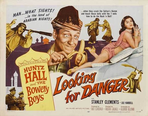 LOOKING FOR DANGER Movie POSTER 30x40 | eBay