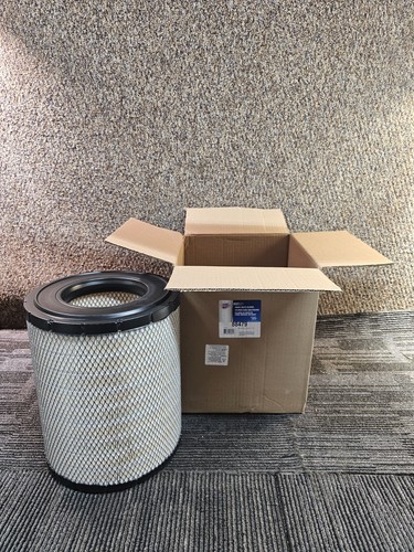 Carquest 88479 Air Filter Replaces RS3504 128-2686 6I-2501 P532501 ...