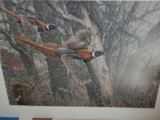 James Meger Art Prints for sale | eBay