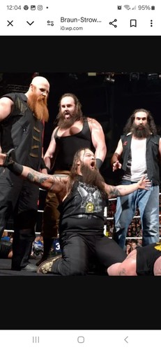 Wrestling's Legends The Wyatt Family 40 DVD Bryat Wyatt Luke Harper ...