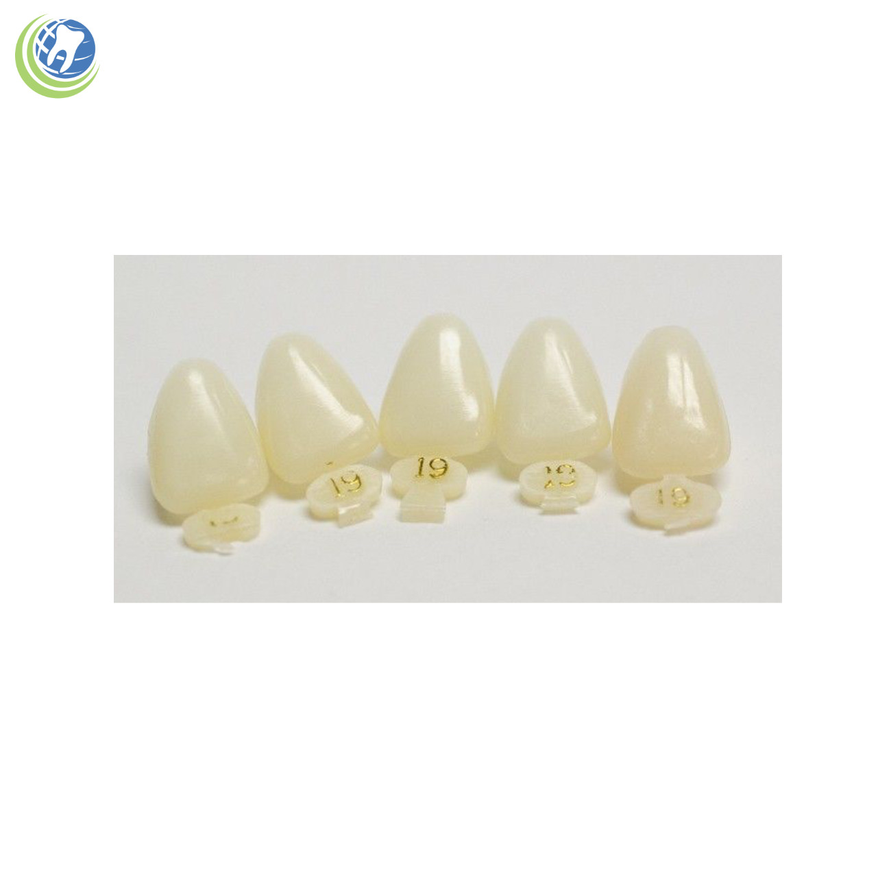 DENTAL TRANSPARENT STRIP OFF CROWNS ANTERIOR 60PC ADULT KIT DENTAL ...
