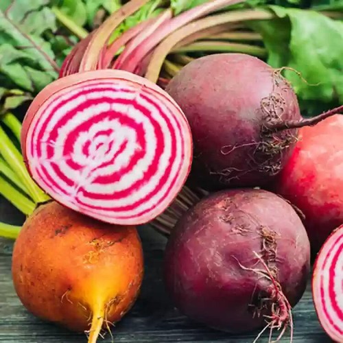 Beetroot Seeds HEIRLOOM BEETROOT MIX SEEDS Vegetable Seeds Mixed ...