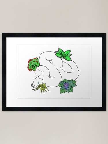 Leusistic Ball Python With Succulen Framed Wall Art Poster Canvas Print ...