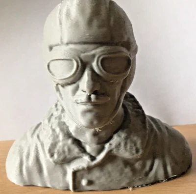 1/5 Scale civilian RC pilot bust. Made and | Grelly UK