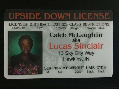 Stranger Things Lucas Sinclair Caleb Upside Down Drivers License ID ...