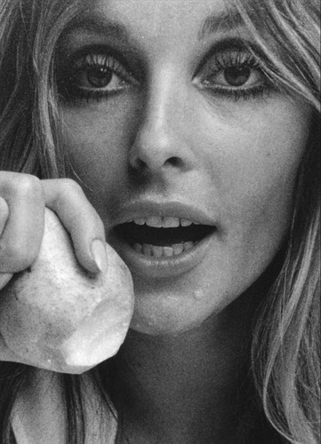 Sharon Tate Eating Apple 8x10 Picture Photo Print | eBay