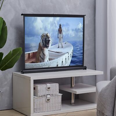 Pull Up Projector Screen for sale | eBay