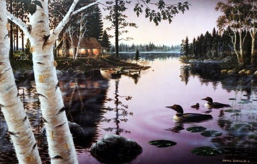 Summertime Loon Cabin print By Mark Daehlin 29 x 19 | eBay