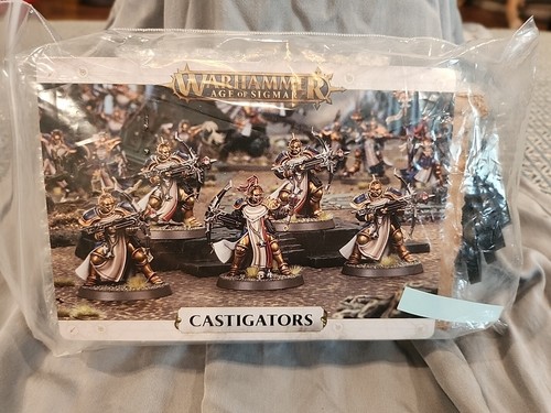 (5) Castigators Warhammer Age Of Sigmar Stormacast Eternals | eBay