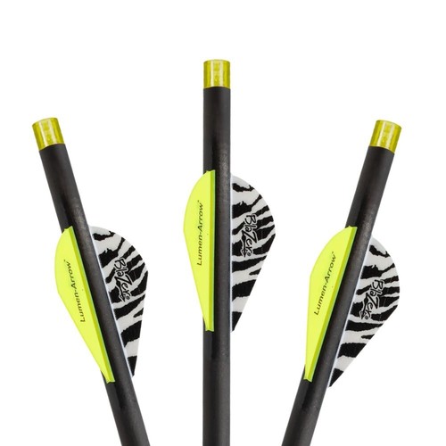 Lumenok Lumen-Arrow Flat Crossbow Bolts 20" 3 Pack Orange | eBay