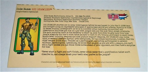 G I JOE File I.D. Card Filecard 2003 Big Brawler V3 | eBay