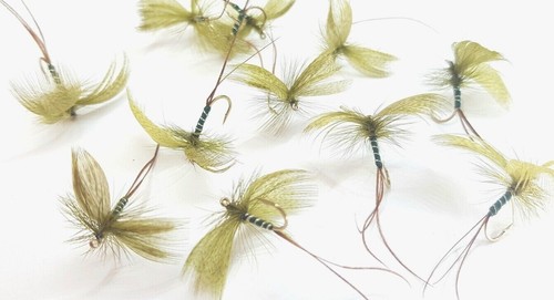 Green Drake Fawning Mayfly Dry Mayflies Fly Trout Fishing Flies ...