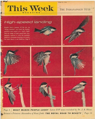 This Week Magazine May 28 1961 High Speed Landing Princess Alexandra of ...