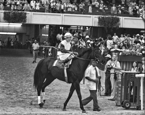 1975 Horse Racing Champion RUFFIAN Before Race Vintage Poster Photo ...