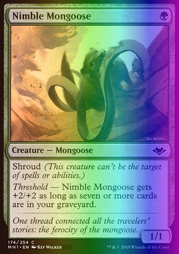 MTG Magic the Gathering Nimble Mongoose (174/404) Modern Horizons LP ...