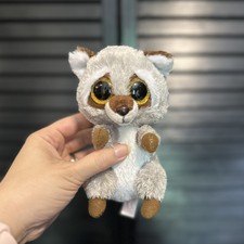 Oakie the Raccoon - Beanie Boos - Beaniepedia