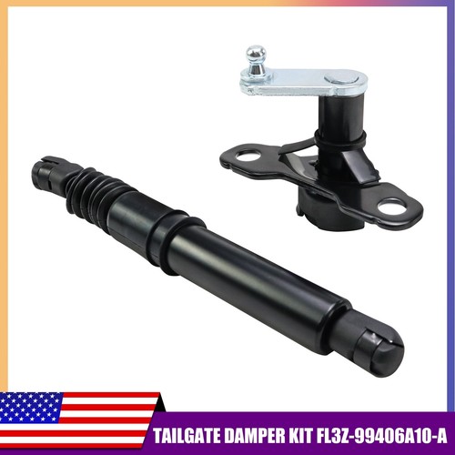 Truck Tailgate Shock Damper Kit FL3Z-99406A10-A for Ford F-150 2015 ...