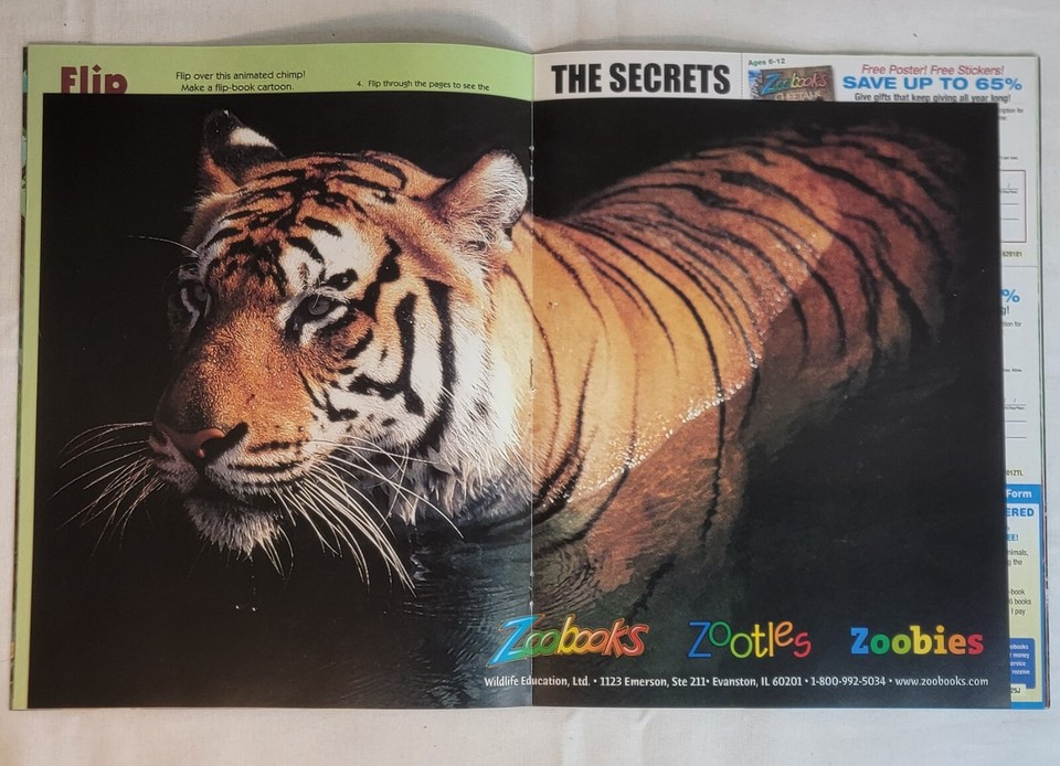 zoobooks products for sale | eBay