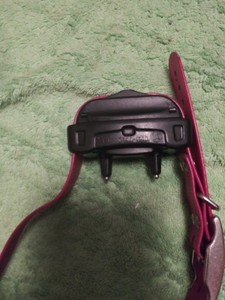 Tri Tronics G3 Collar for sale | eBay