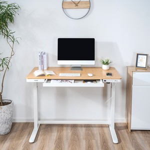 FlexiSpot Store | eBay Stores