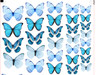LOVELY BLUE BUTTERFLIES EDIBLE WAFER PAPER CUP CAKE TOPPERS PARTY ...