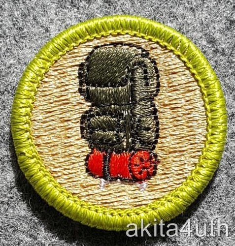 BSA Backpacking Merit Badge - Type H - Boy Scouts of Amreica | eBay