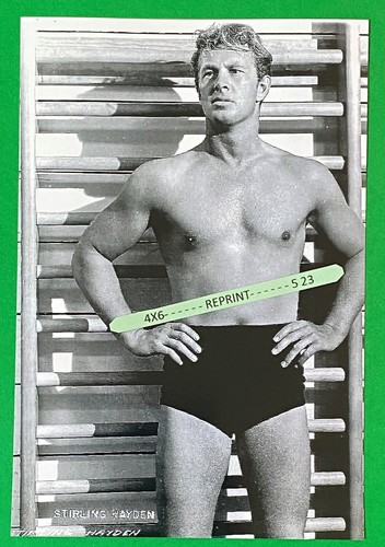 Found 4X6 PHOTO OLD Hollywood Actor Stirling Hayden Capt. McCluskey in ...