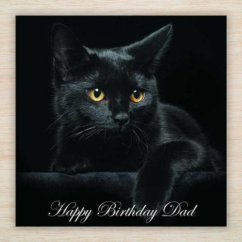 Dad Birthday Card Black Cat From the Cat Card for Cat Dad Freepost ...