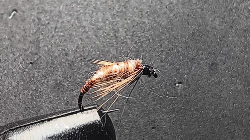 1 DOZEN BROWN ELK HAIR KILLER BUGS NYMPHS FOR FLY FISHING - KILL-7 | eBay