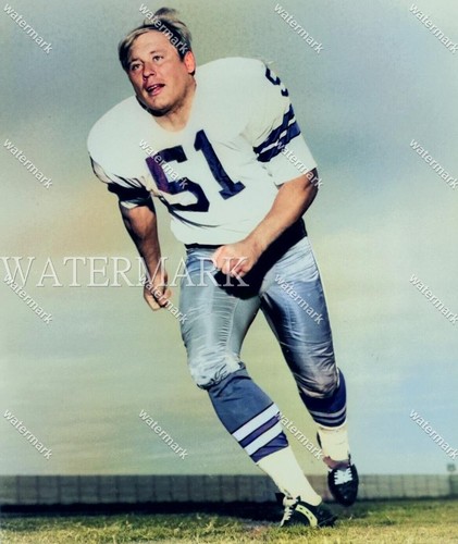GO927 Dave Manders Dallas Cowboys copy 8x10 11x14 16x20 Colorized Photo ...