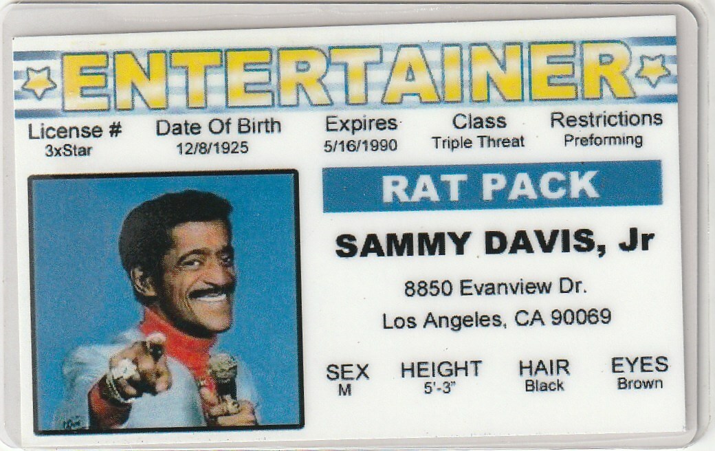 Austin Powers License to SHAg The Spy who SHAGGED ME Drivers License | eBay