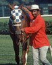 SECRETARIAT & EDDIE SWEAT - ORIGINAL 1972 BELMONT PARK 8X10 ...