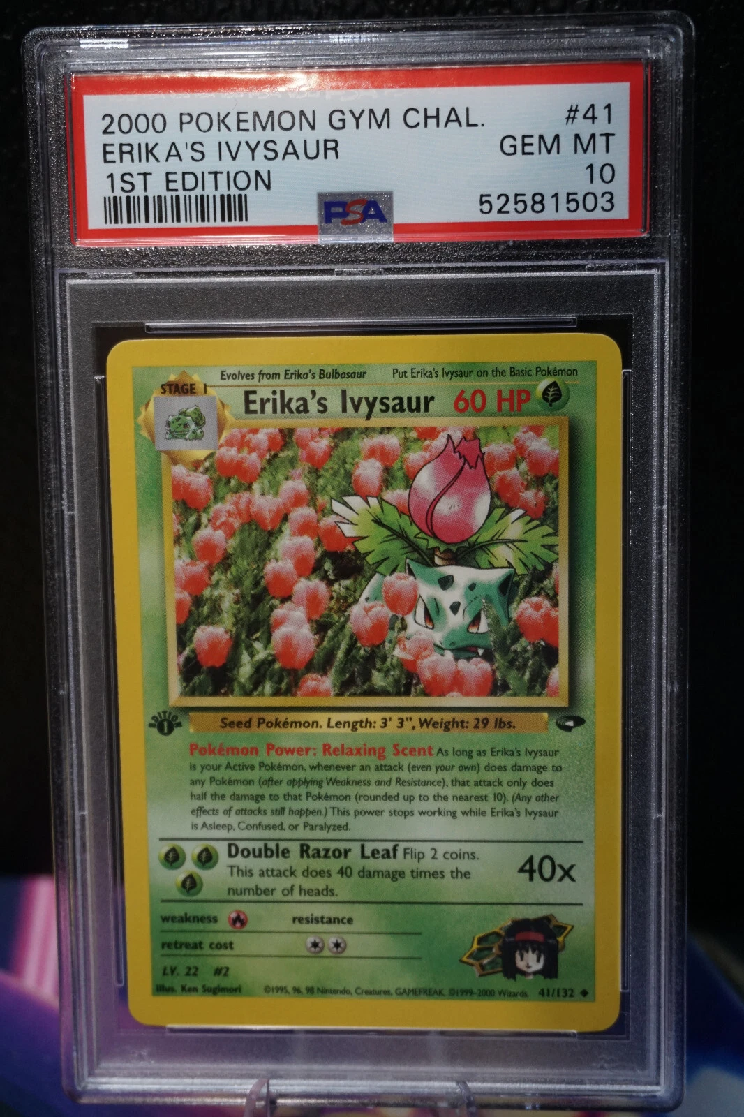 Erika's Ivysaur 2000 Gym Challenge #041/132 1st Edition Price Guide ...