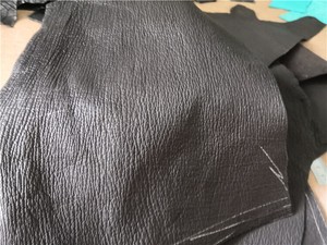 Shark Skin Hide for sale | eBay