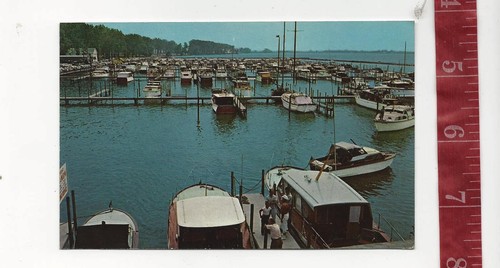 Vintage Cedar Point Ohio post card NEW marina on Sandusky Bay 60's | eBay