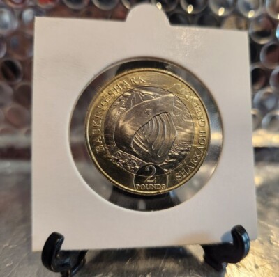 Isle Of Man 2 Pound Coin for sale | eBay